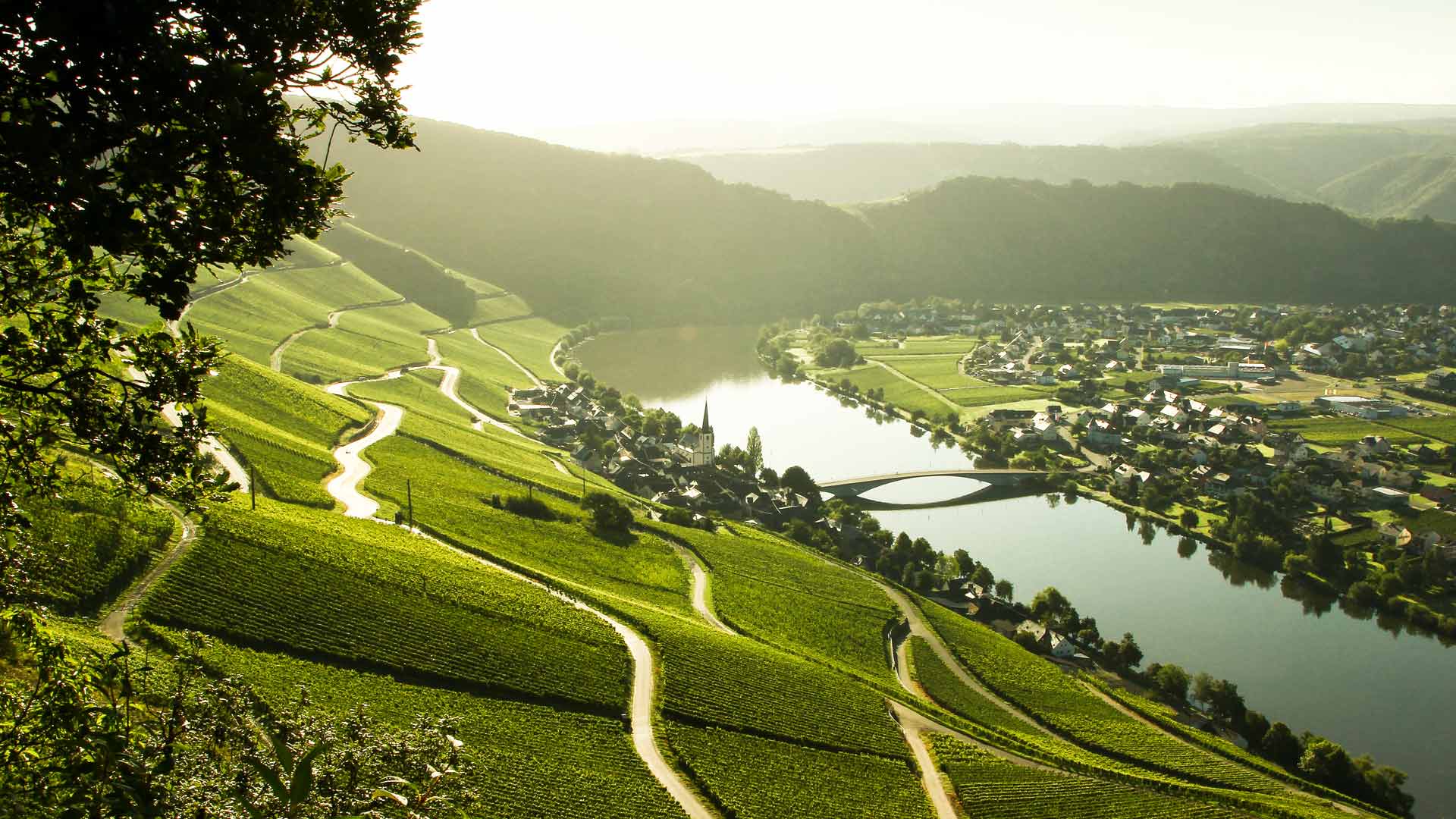 Wandelen Moselsteig – de complete route van Perl tot Koblenz